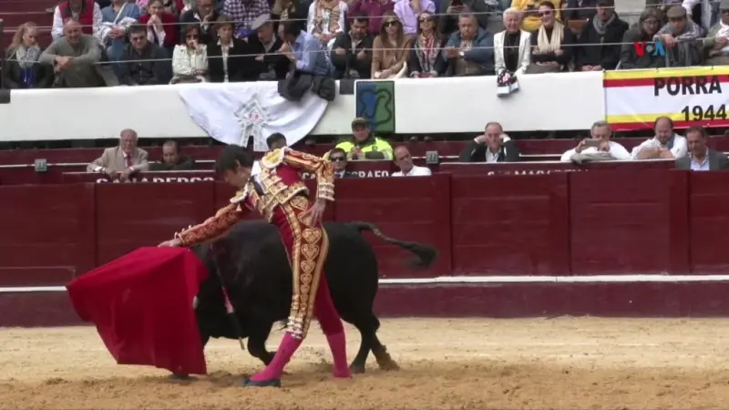 Histórica ley que prohíbe las corridas de toros divide a Colombia ...
